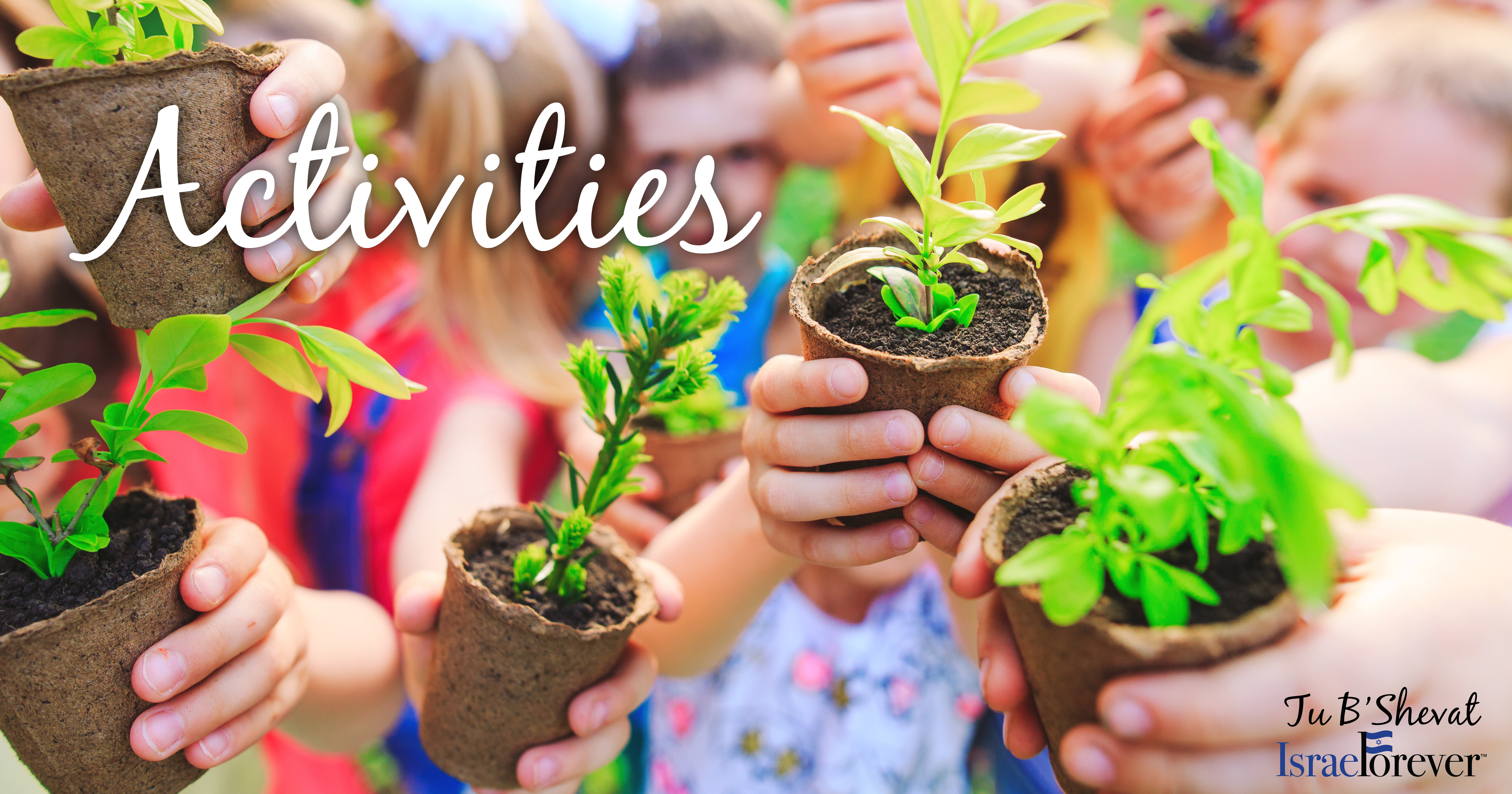 Tu B'Shevat Activities: The Israel Forever Foundation
