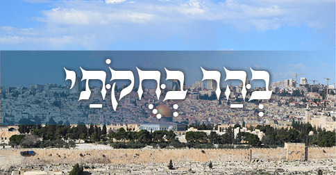 The Parsha, the Process and the Promised Land: Parshat Behar-Bechukotai ...