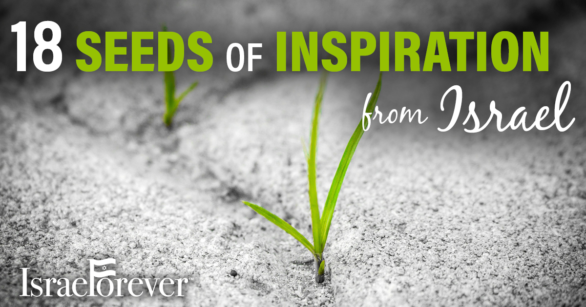 18 Seeds of Inspiration from Israel: The Israel Forever Foundation