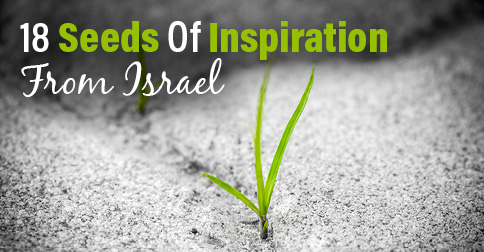 18 Seeds of Inspiration from Israel: The Israel Forever Foundation