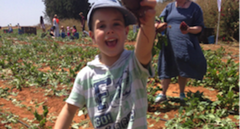 Leket Israel: Get Back to Our Roots: The Israel Forever Foundation