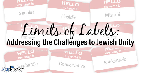 Limits of Labels: Addressing the Challenges to Jewish Unity: The Israel ...