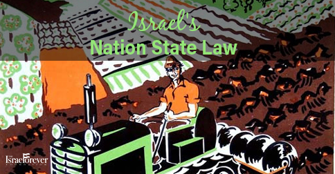 Israel’s Nation State Law: The Israel Forever Foundation