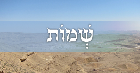 Who Am I? | Parashat Shemot: The Israel Forever Foundation
