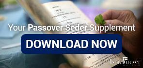 Israel At Your Seder: Celebrating Our Journey to Freedom: The Israel ...