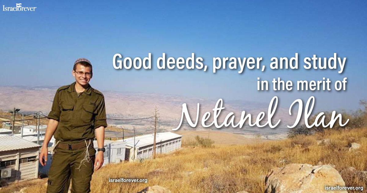 Good Deeds, Prayer and Study for the Merit and healing of Netanel: The ...