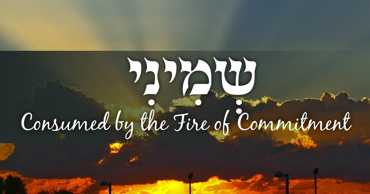 Consumed by the Fire of Commitment - Parshat Shemini : The Israel ...