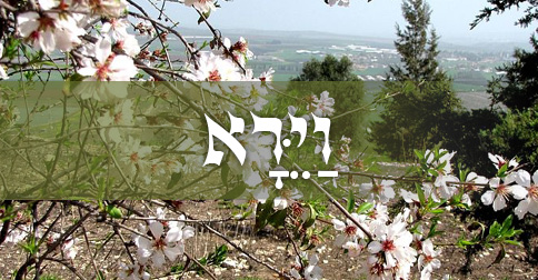 Vayera: The Israel Forever Foundation